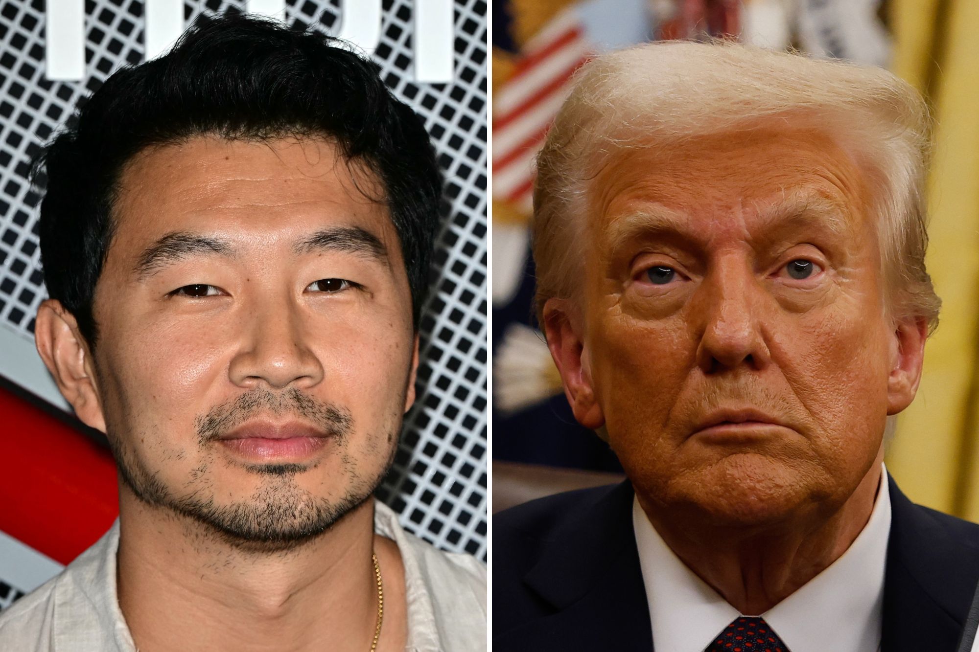 Simu Liu Pledges to Donate the Money He Saves From Donald Trump's Tax ...