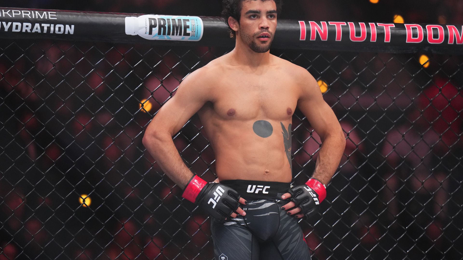 ‘The Vet Gave Me My First Scar’