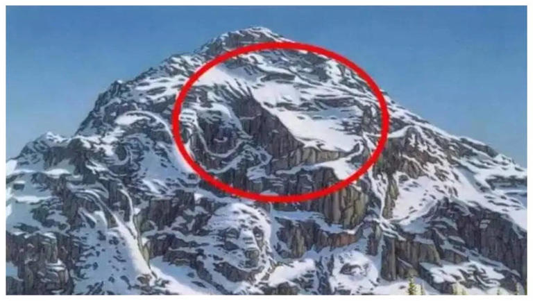 Optical illusion: Only those with sharp vision can spot the second ...