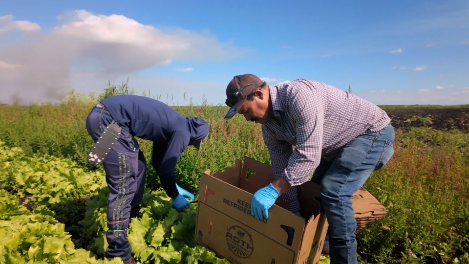 David Culver meets legal migrants who keep America’s farms running
