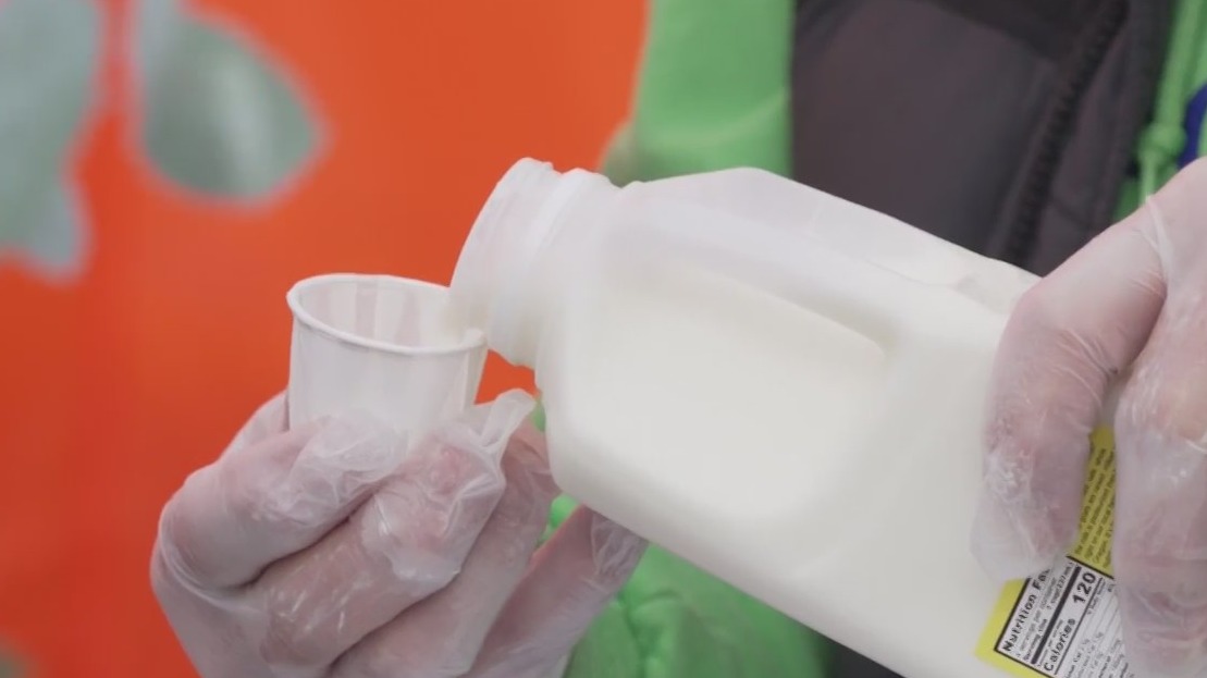 Goat milk from ‘Sober babies’ comes in flavors