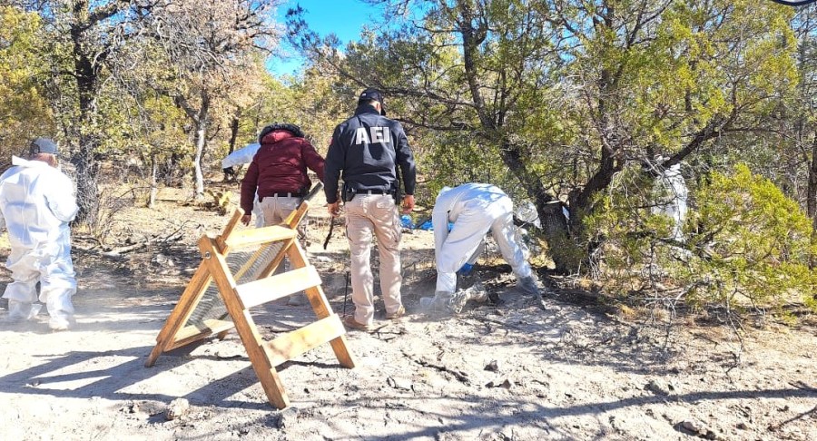 8 dismembered bodies found in clandestine graves