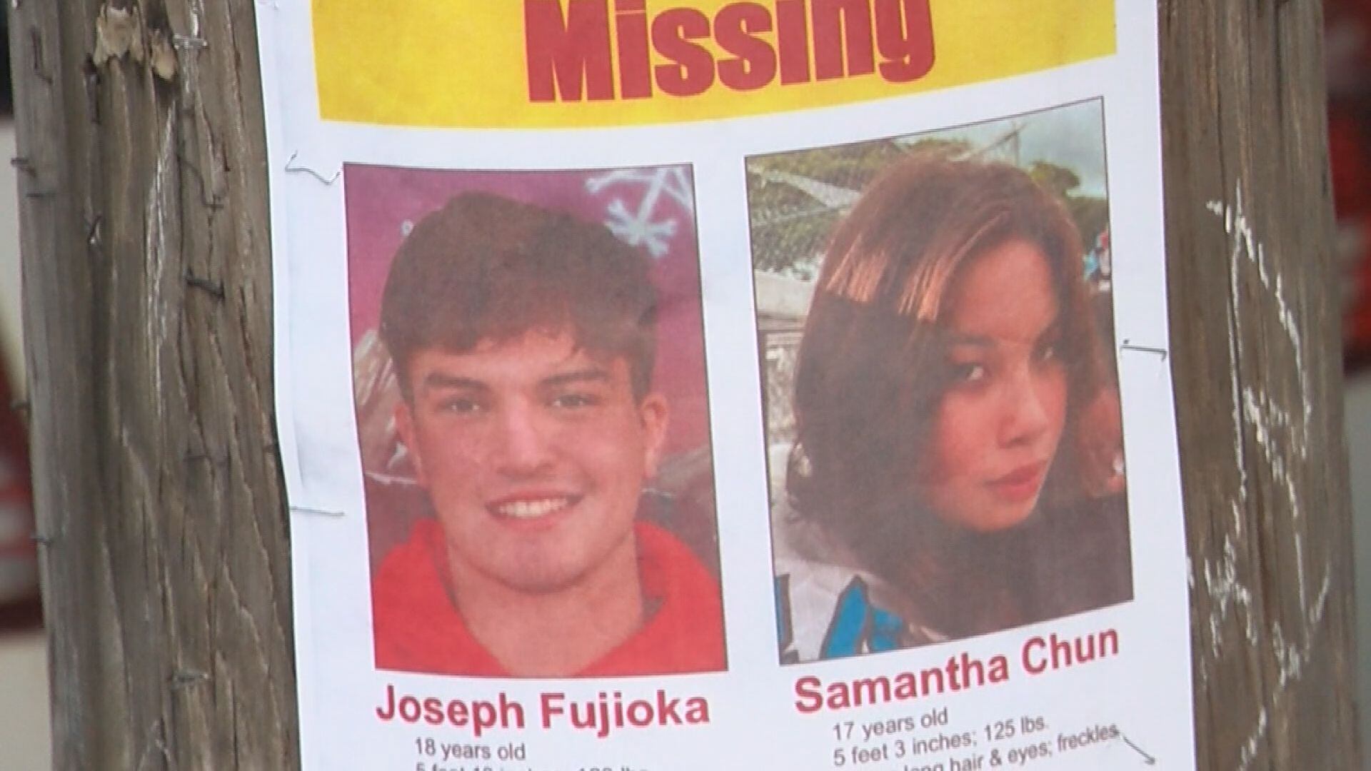 HPD: Remains found off Ke Iki Beach match DNA profile of missing 18 ...