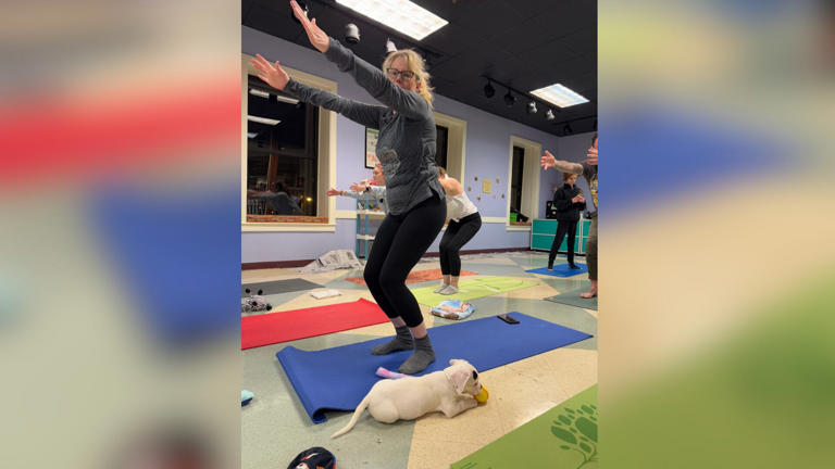 Former NFL Pro-Bowlers' Sons Play On Same High School Football Team In ...