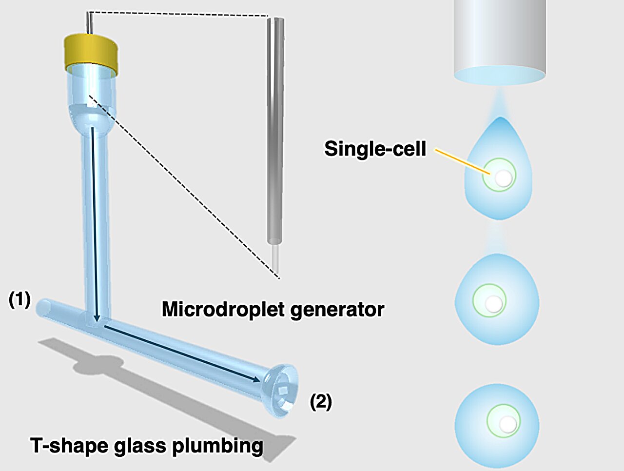 Microdroplet generator enhances single-cell analytical technique for ...