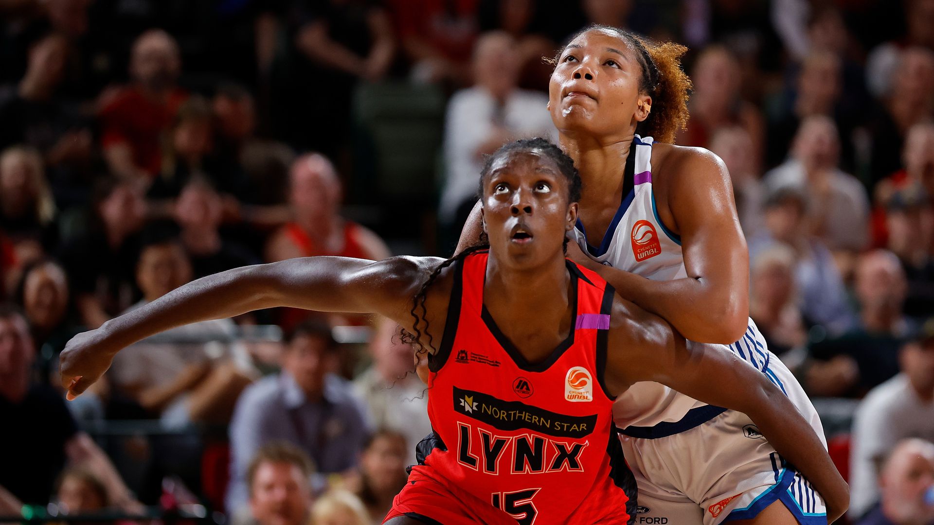 How Dream’s Hillmon, Amihere are growing their games in the WNBL