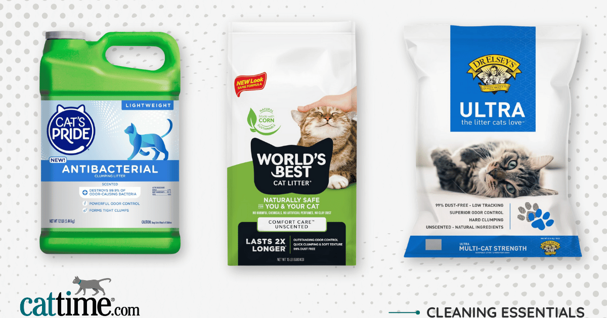 7 Best Cat Litter Options in 2025 - Tested and Reviewed By Experts