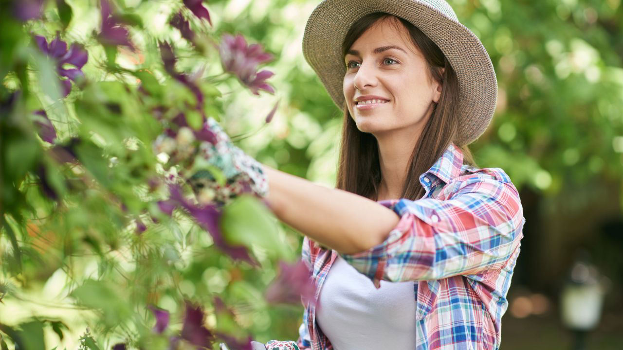 A Beginner's Guide to Starting Your Own Homestead A Beginner's Guide to Starting Your Own Homestead