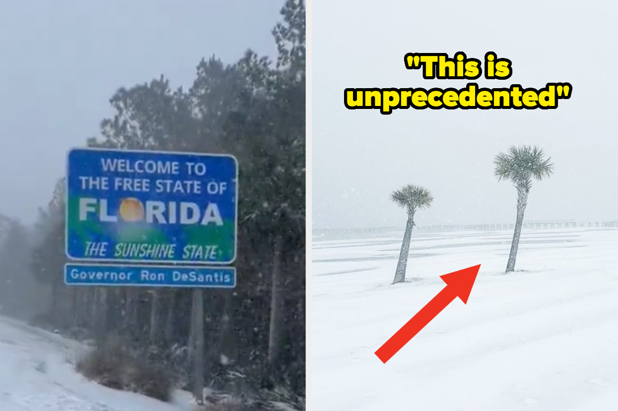 19 Truly WILD Photos Of The Winter Snowstorm That Hit The Southern US ...
