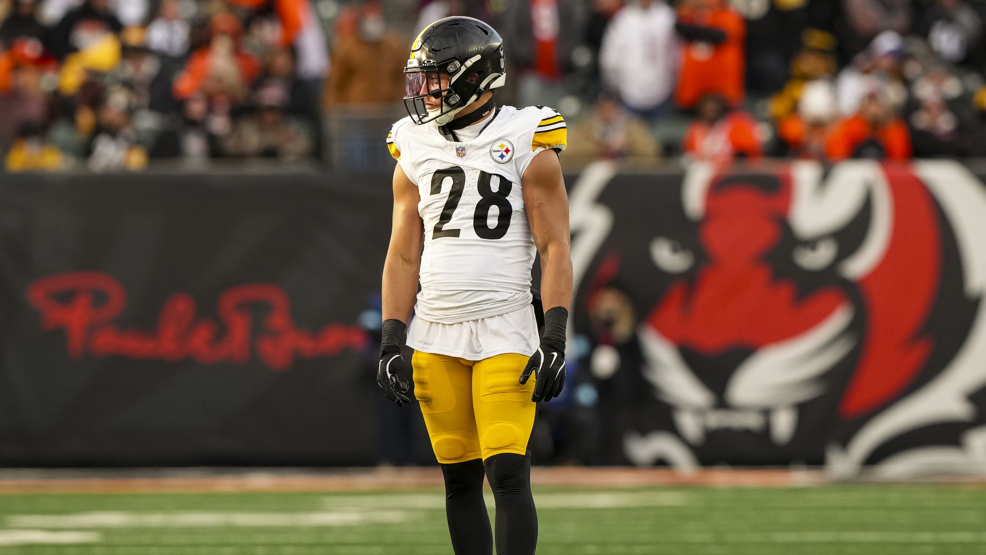 Steelers special-teamer makes Pro Bowl as alternate