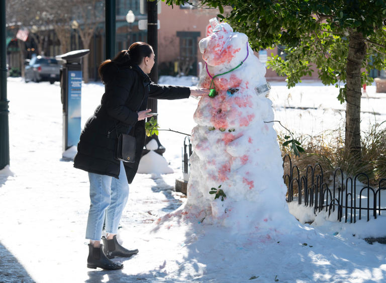 Pensacola snow photos: The Pensacola area saw historic snow. Here's ...