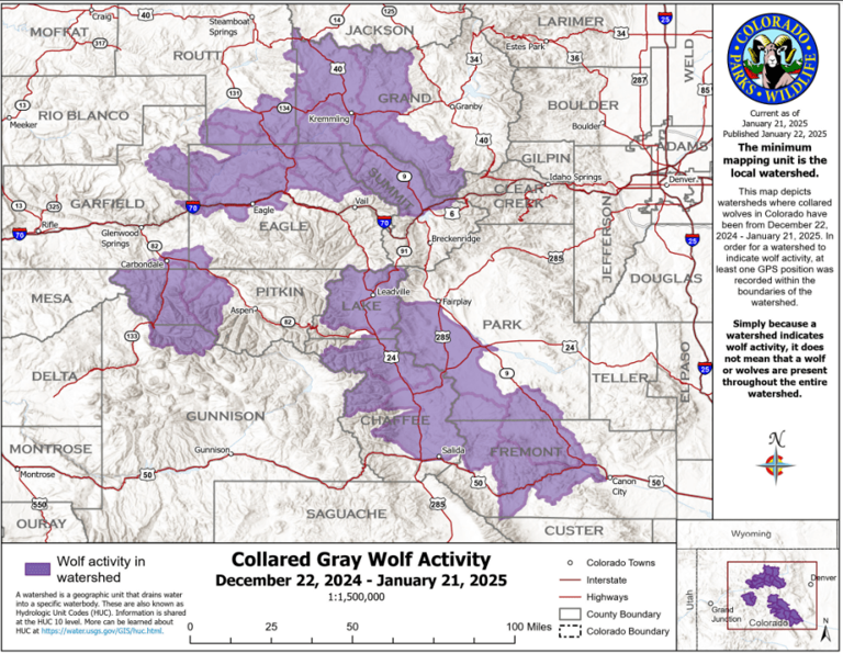 New map shows wolves spreading toward Colorado’s borders