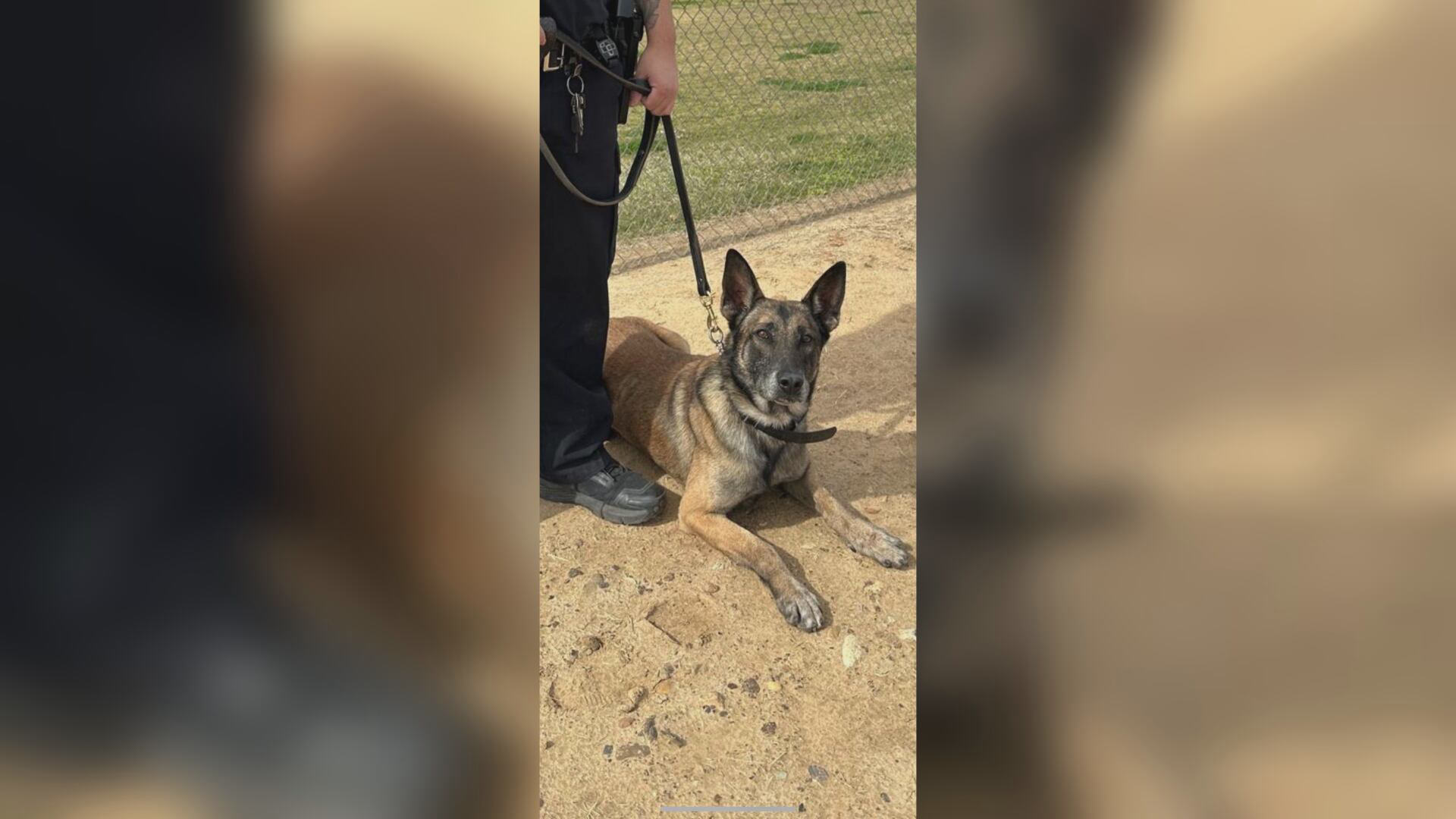 LPD asks for help in locating lost K-9 unit LPD asks for help in locating lost K-9 unit