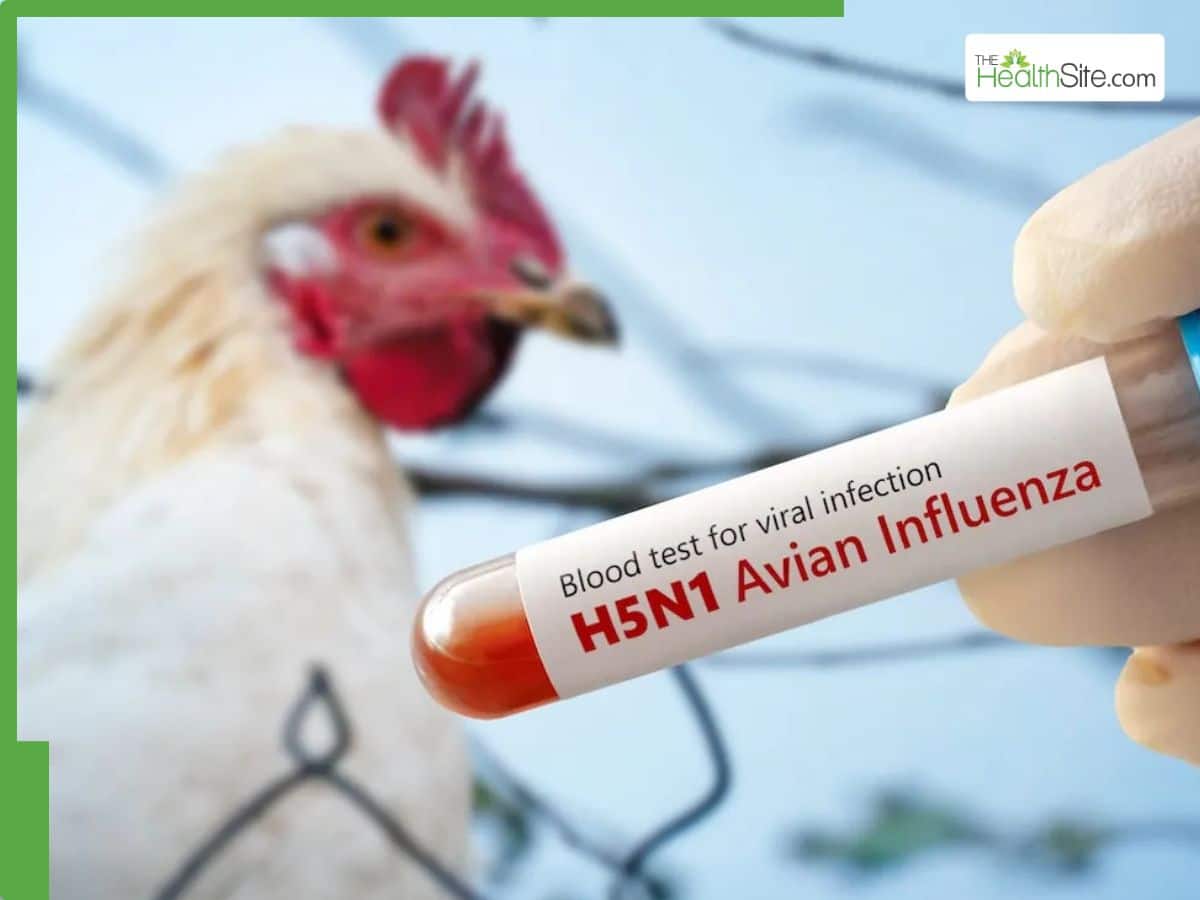 Bird Flu Spreads in the US: H5N1 Outbreak Hits Georgia Poultry Industry ...