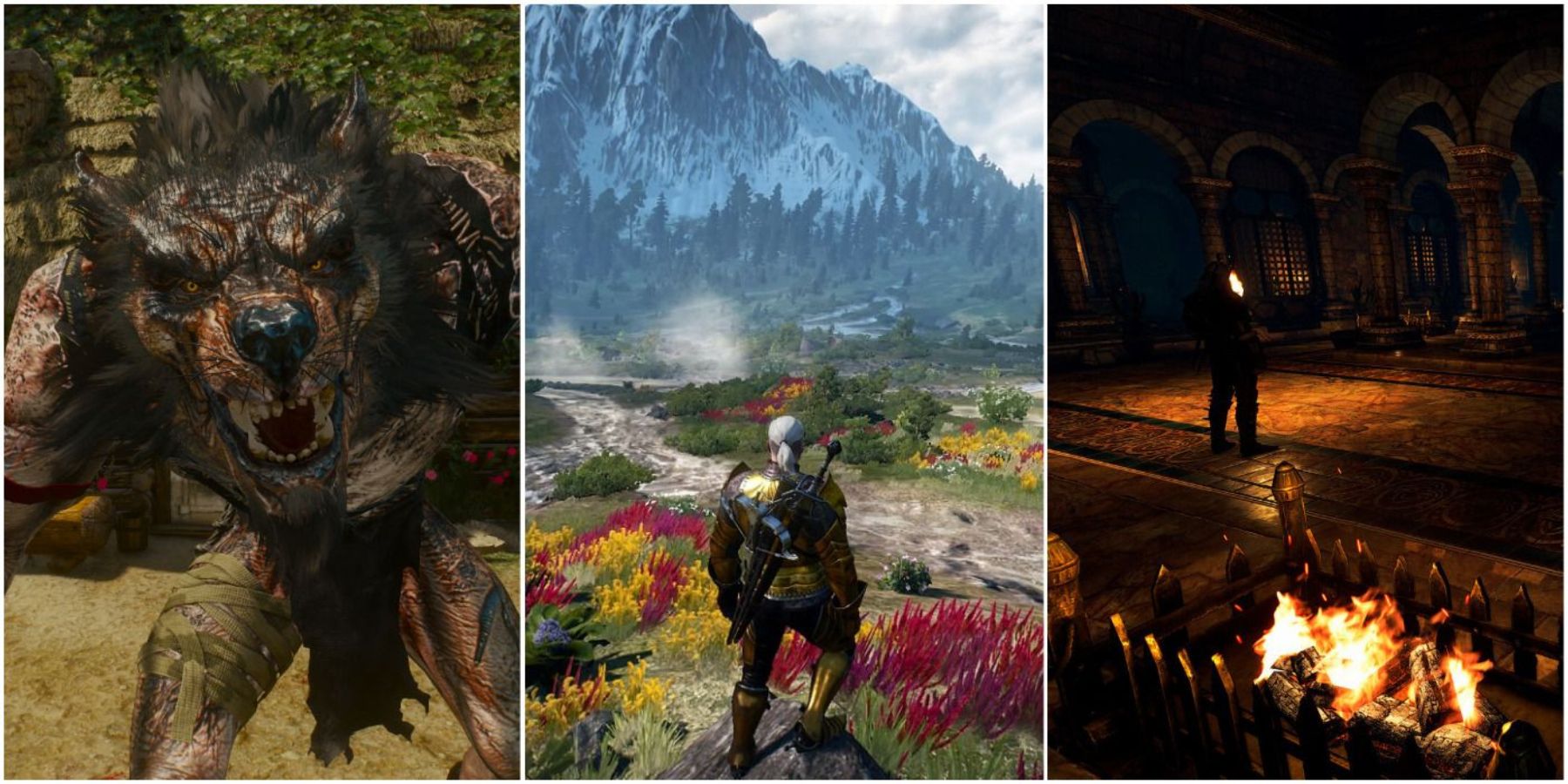 Best Graphics Mods For The Witcher 3