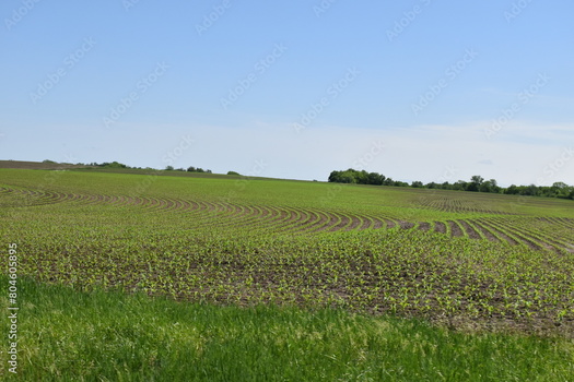 Iowa farmers on board with corn-based jet fuel