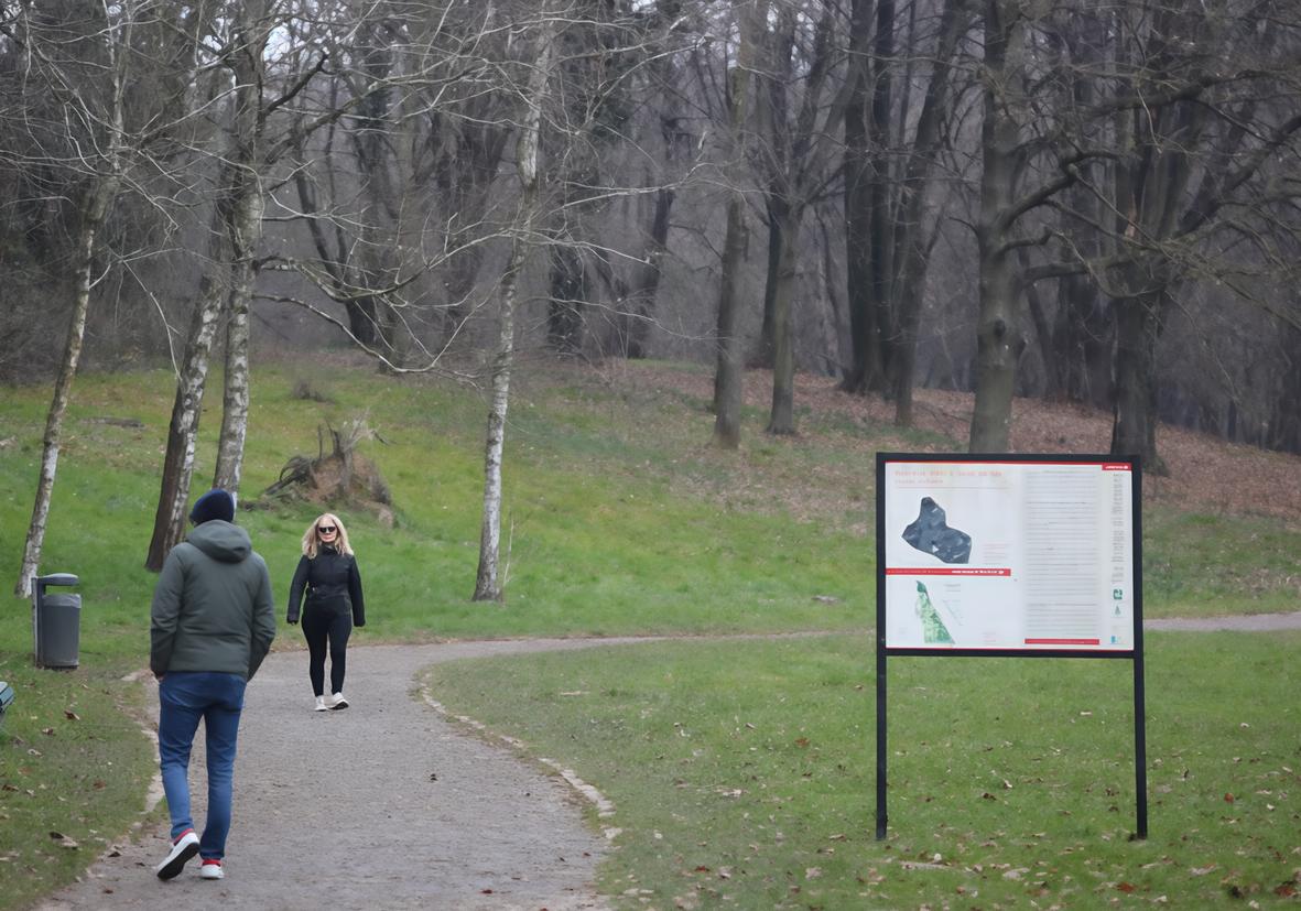 Il Parco Pineta apre le porte ai proprietari di aree verdi: "Aderite a ...