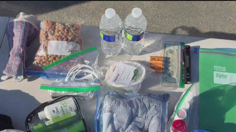 Los Angeles County fires emphasize importance of disaster preparedness ...