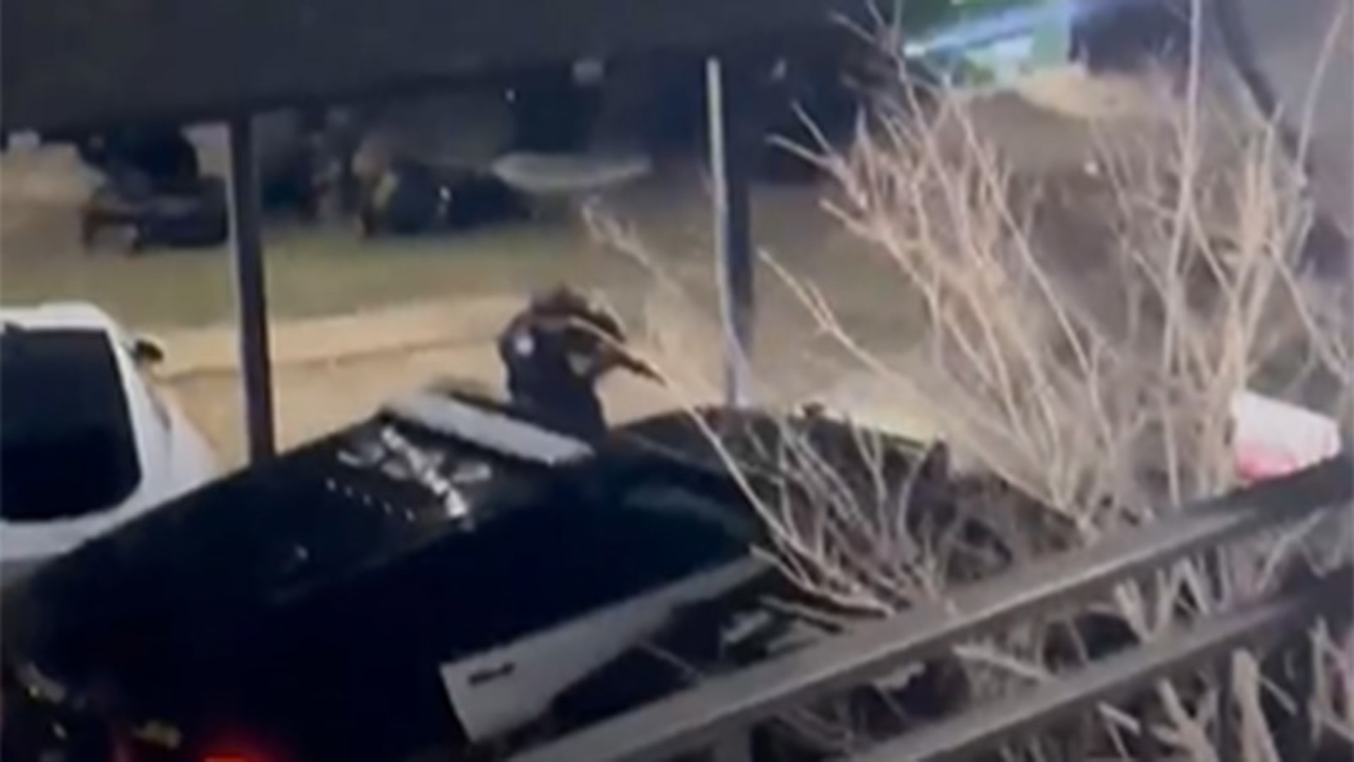 BREAKING | 4 San Antonio officers shot in Stone Oak; Scene is still ...