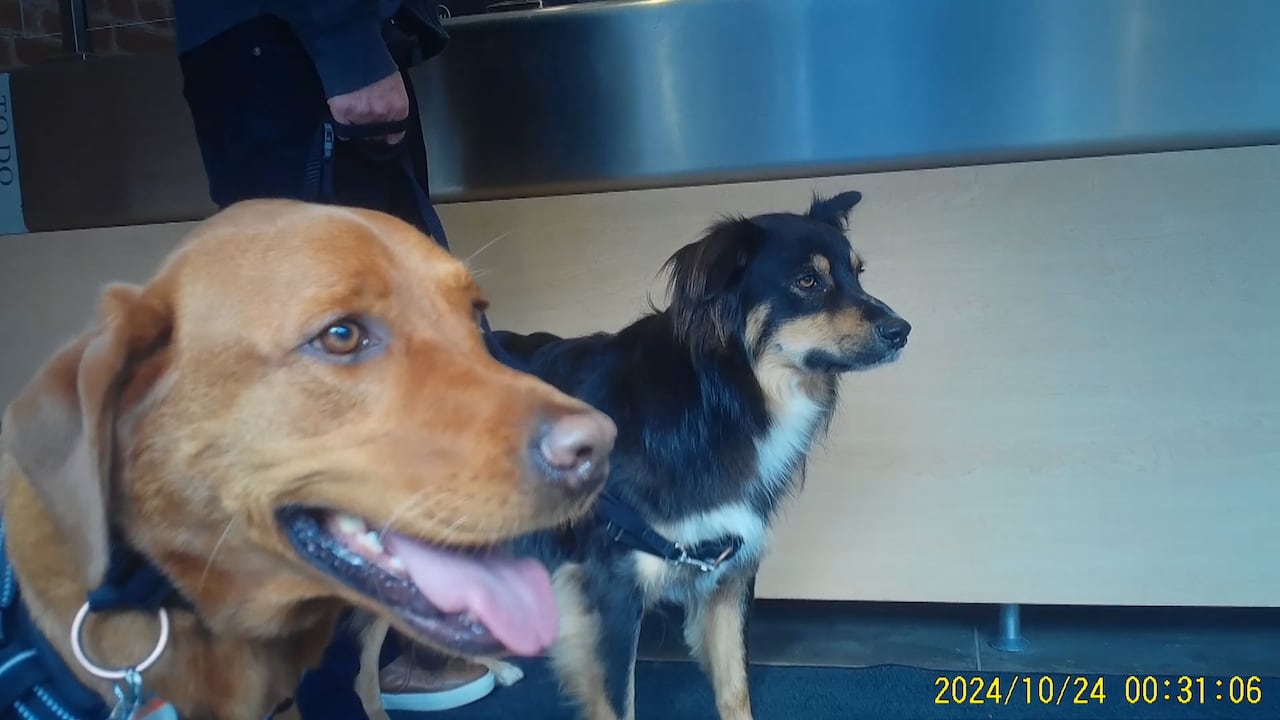 Use our searchable table to find out who owns or co-owns your ...