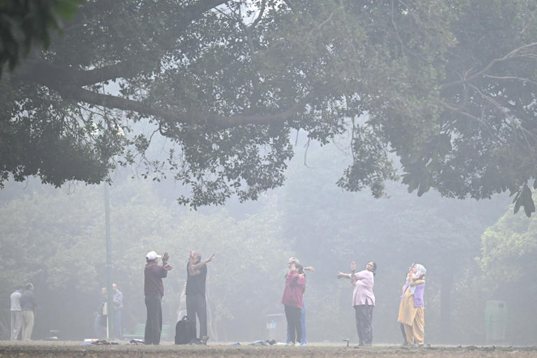 Air pollution crisis finally in focus ahead of tight Delhi election