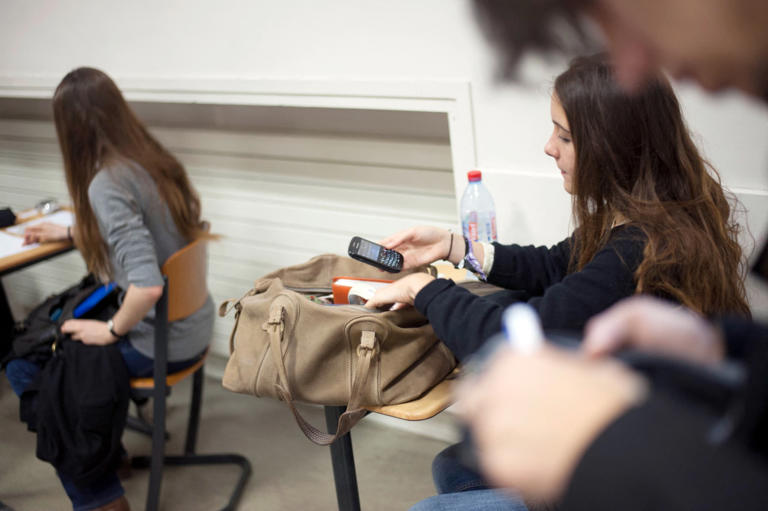 Baccalauréat: une nouvelle épreuve anticipée de maths pour les ...