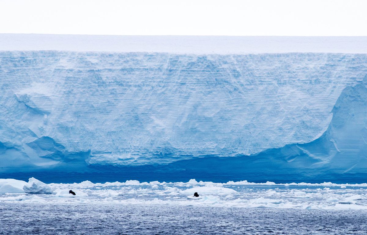 Le plus grand iceberg du monde va percuter une île britannique, et c ...