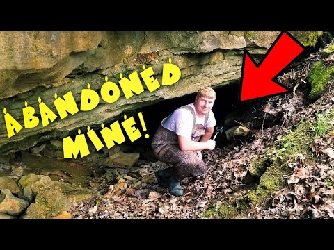 Adventure Archaeology - MSN