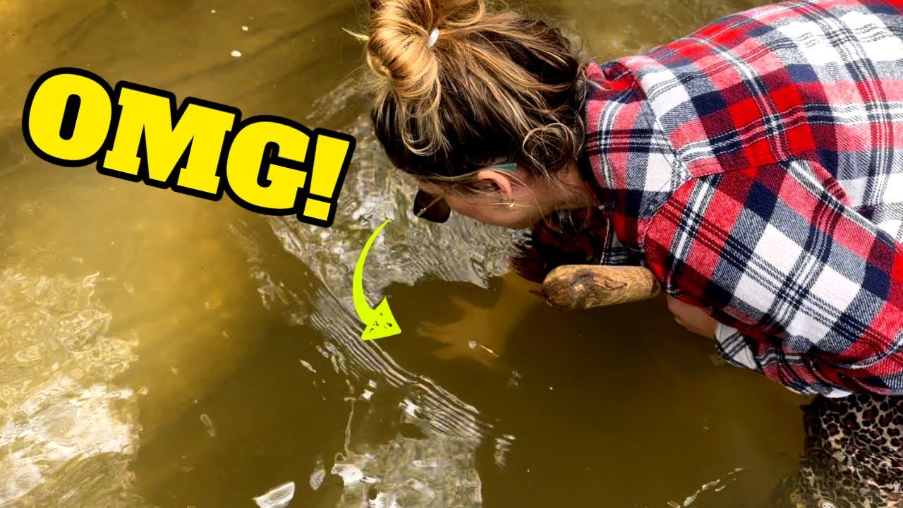 Adventure Archaeology - MSN