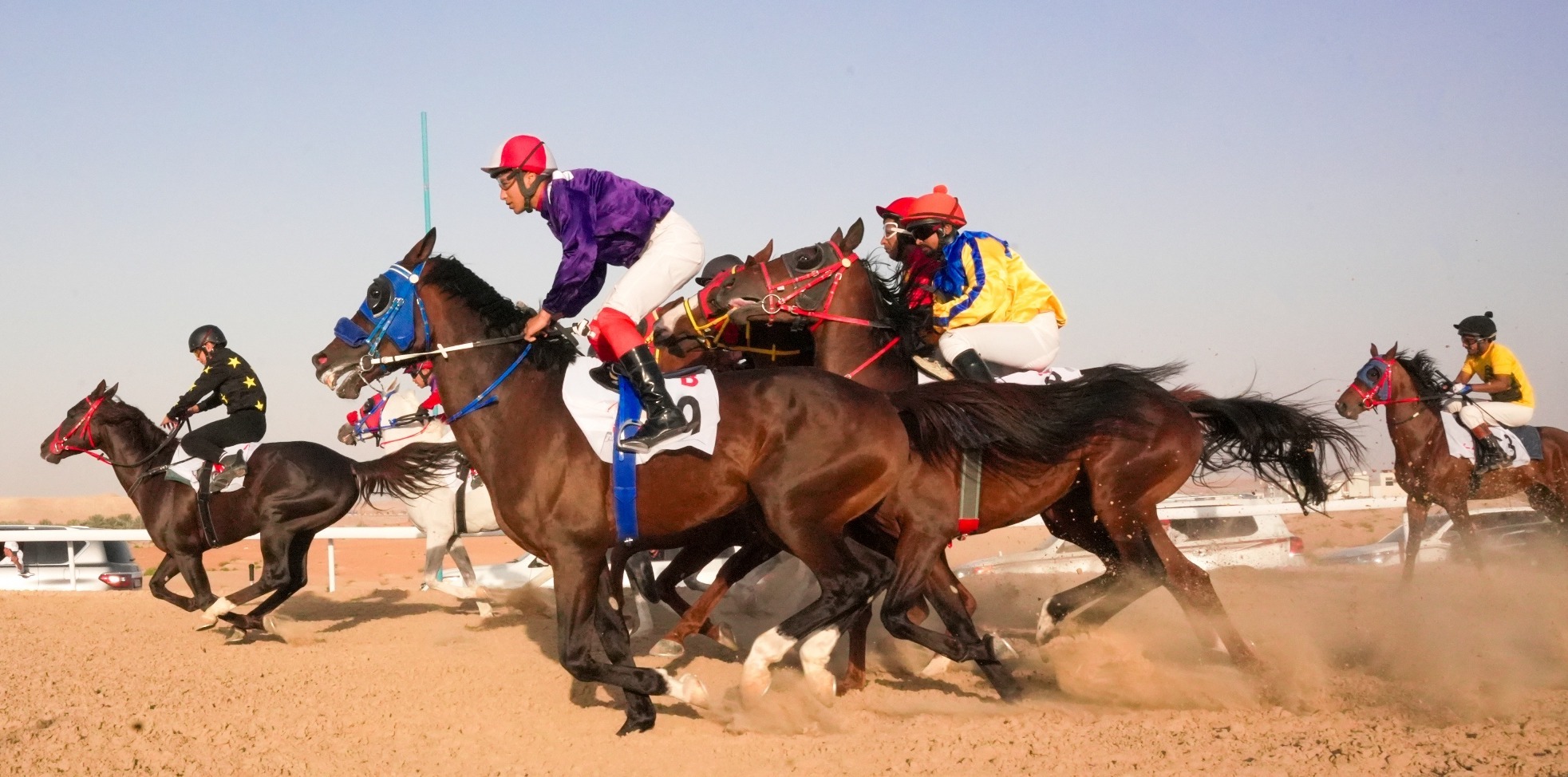 Fifth Purebred Arabian Horse Race concludes in Al Dhafra