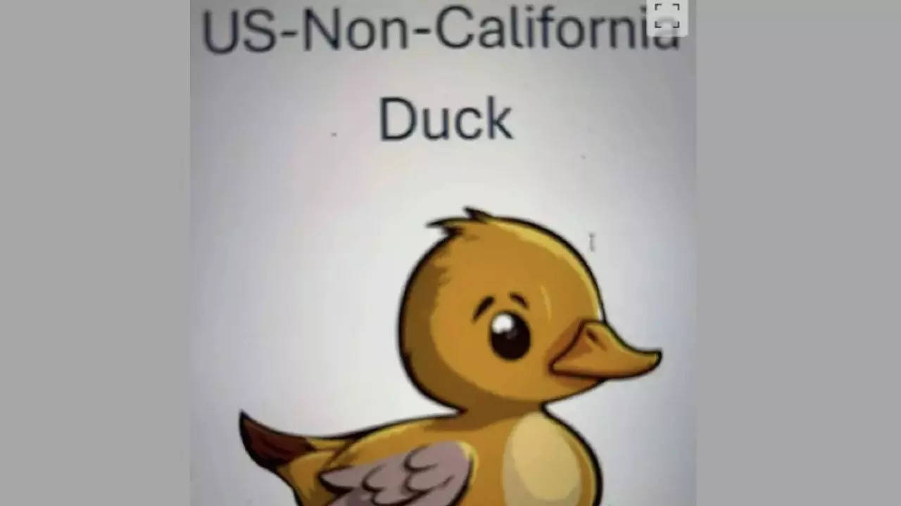 A Sitting Duck? Mass Layoff Email With Cartoon Image Lands US Payment ...