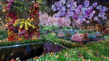 Bucks County Horticultural Students Ready to Wow at Philadelphia Flower ...