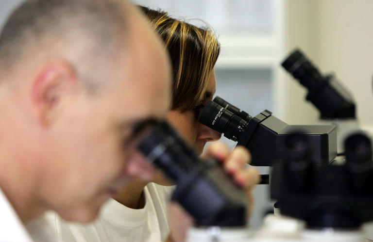 Debutta BioChatter, l'Intelligenza Artificiale per la biologia