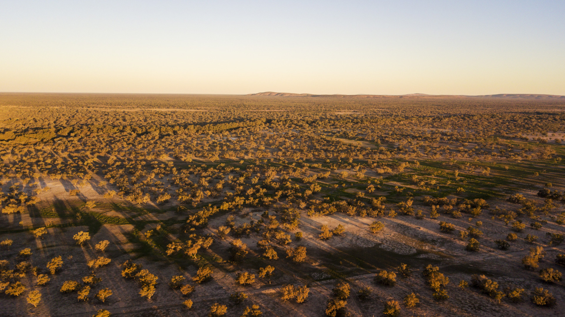 Meer dan 75% van alle landoppervlak al permanent droger
