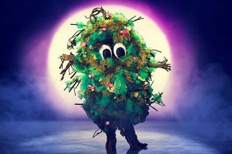 ITV Masked Singer fans reveal clue 'everyone's missed' to identify Bush