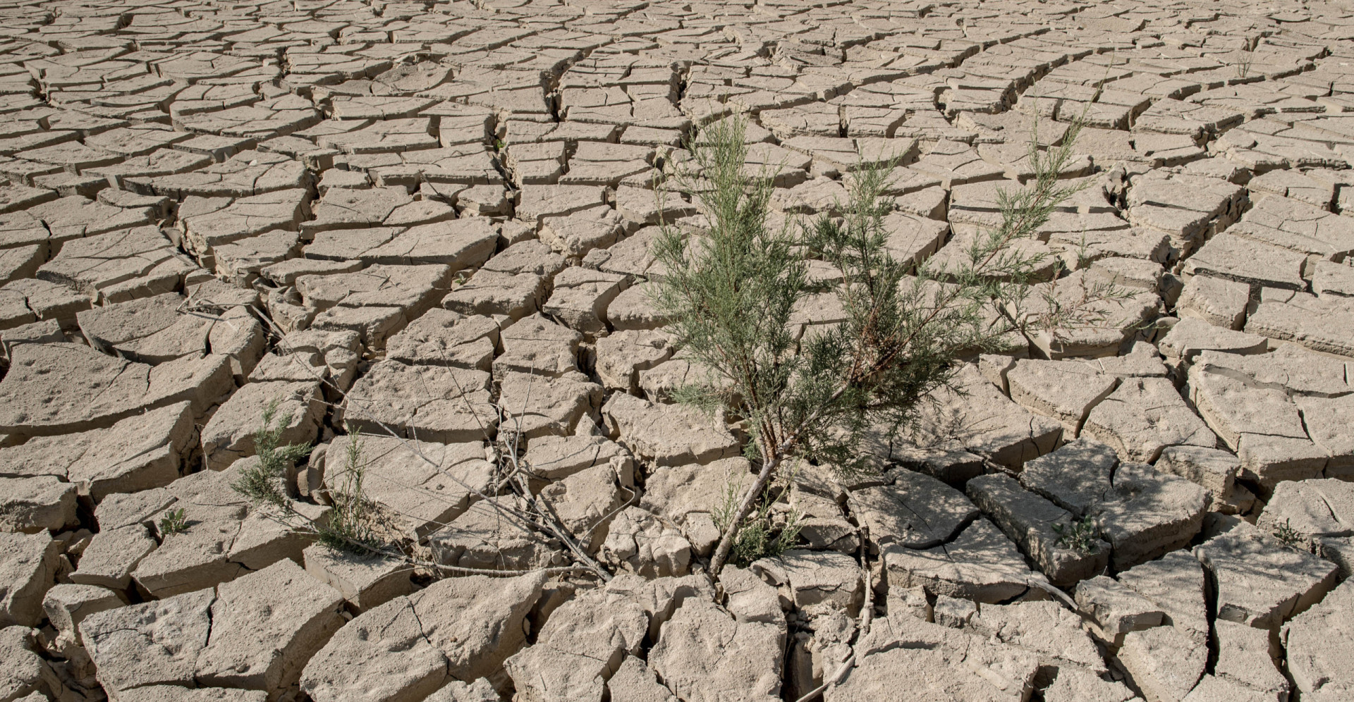 Nieuw VN-rapport waarschuwt dat meer dan 75% van het land op aarde nu ...