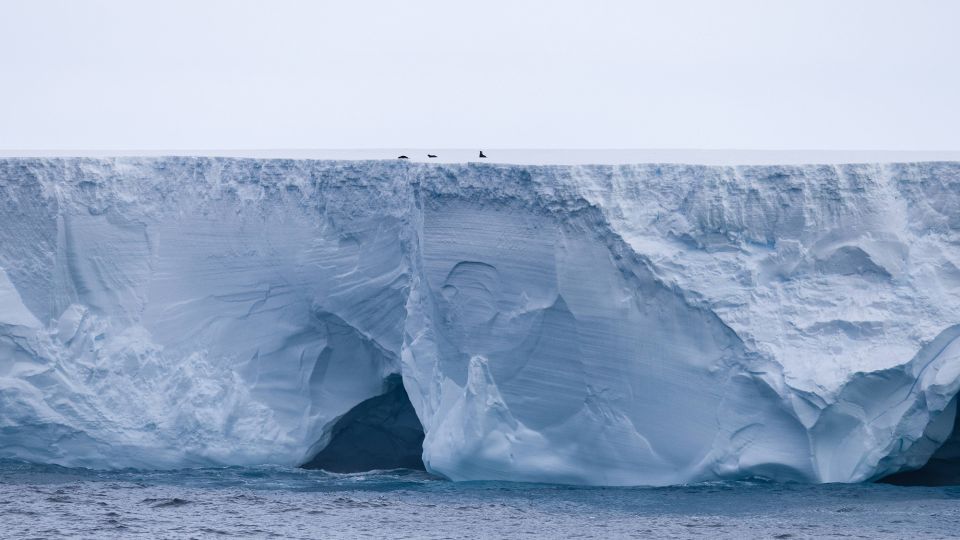 Fears that the world’s biggest iceberg could hit island in the South ...