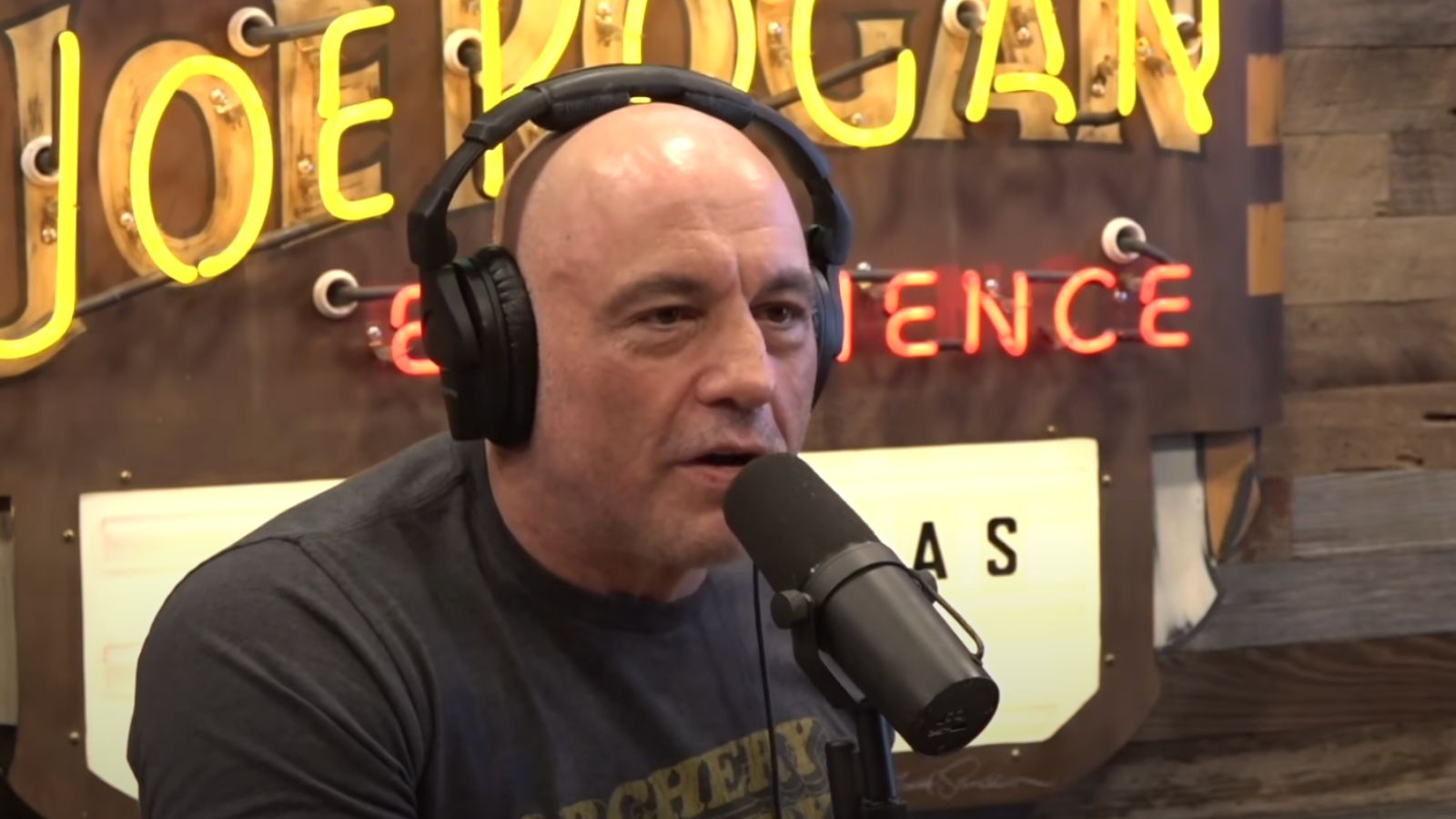 Joe Rogan Explains the Surprising Factor That Led Him to Accept Spotify ...