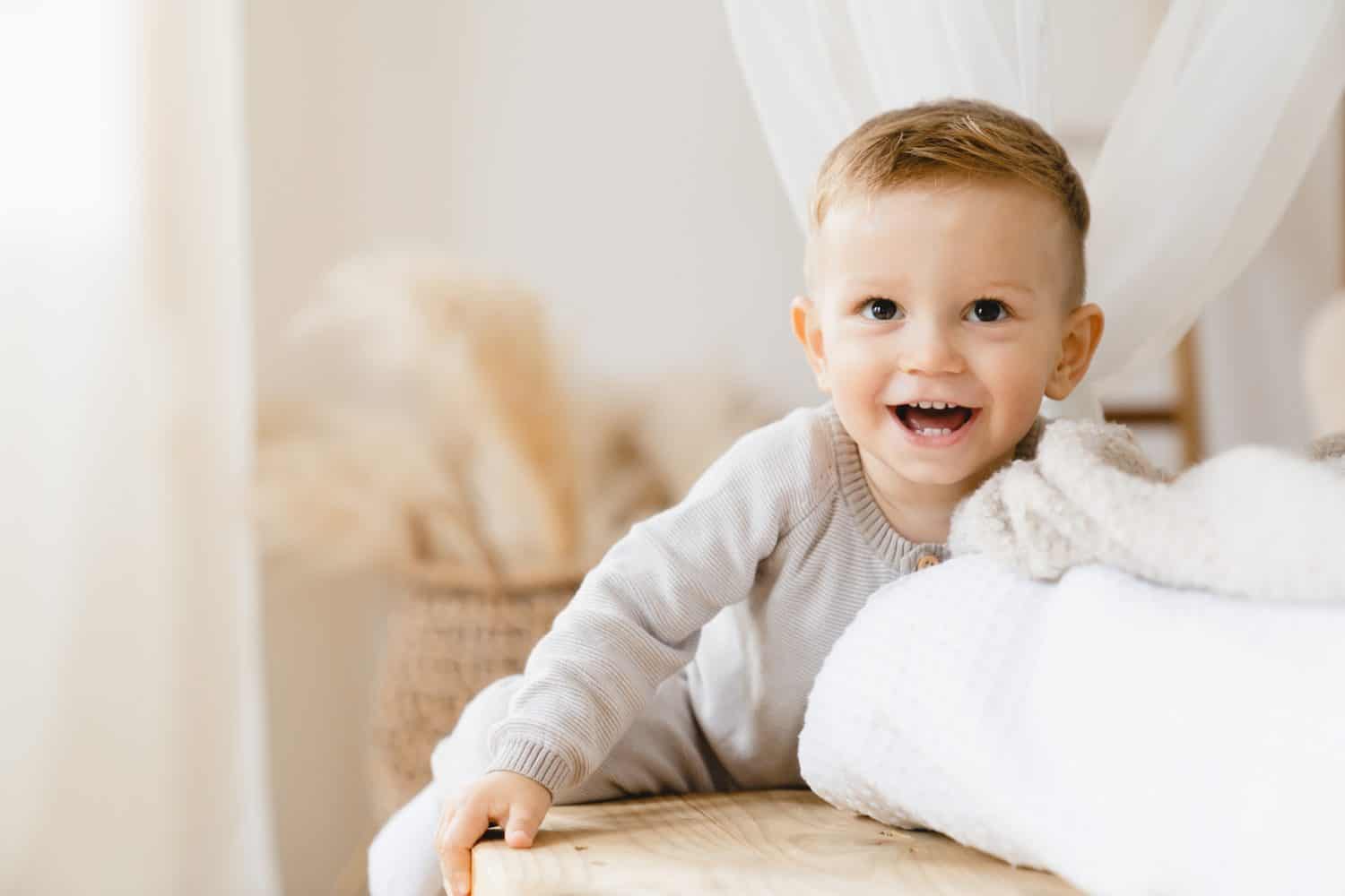 Boy Names That Mean Dragon