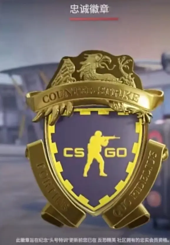 快来看看CS2的勋章都是怎么获得的?