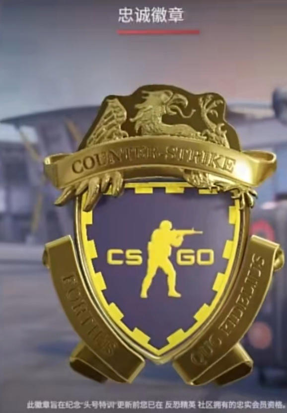 快来看看CS2的勋章都是怎么获得的?