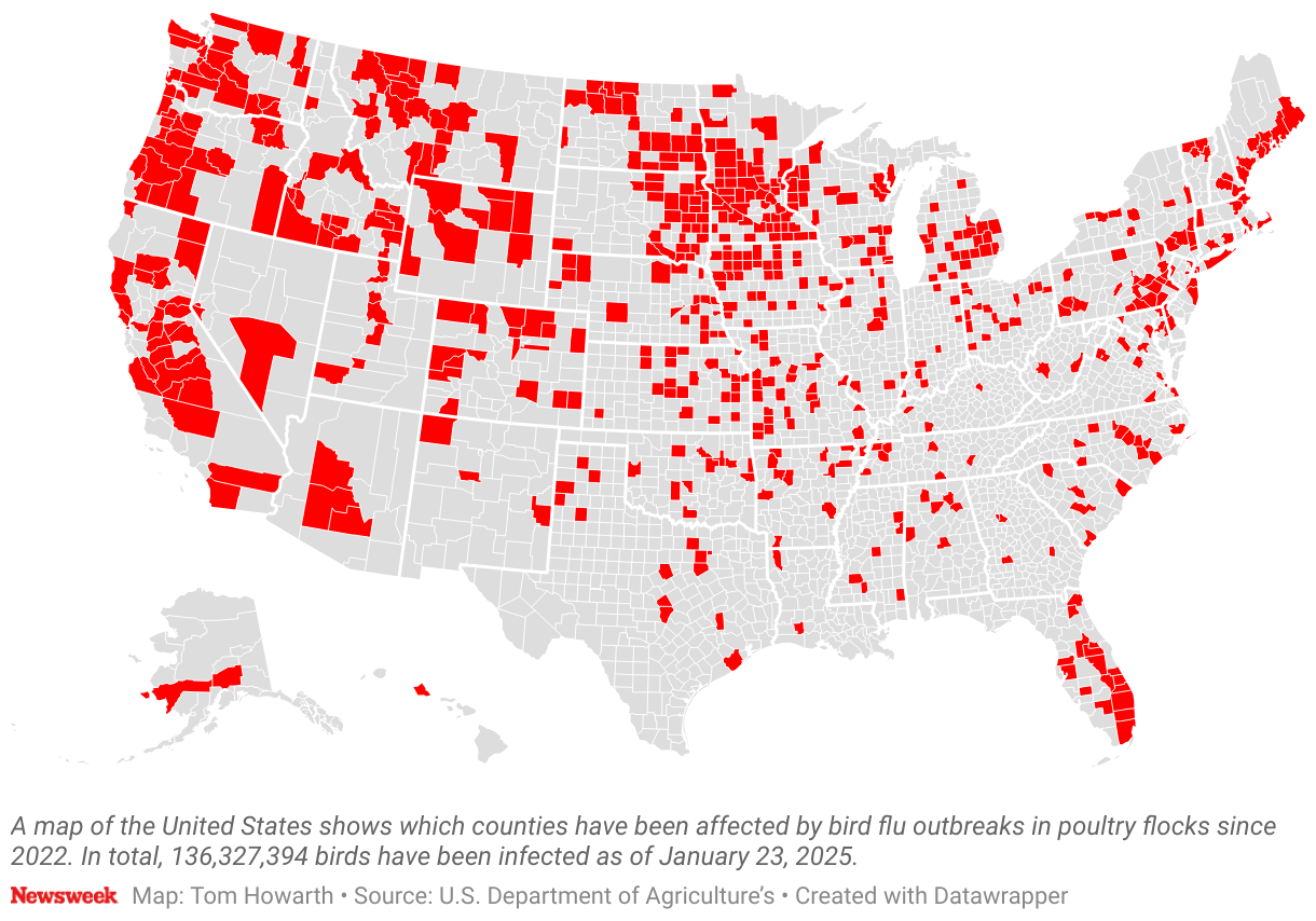 Bird Flu: Updated Map Reveals Where Virus Is Thriving