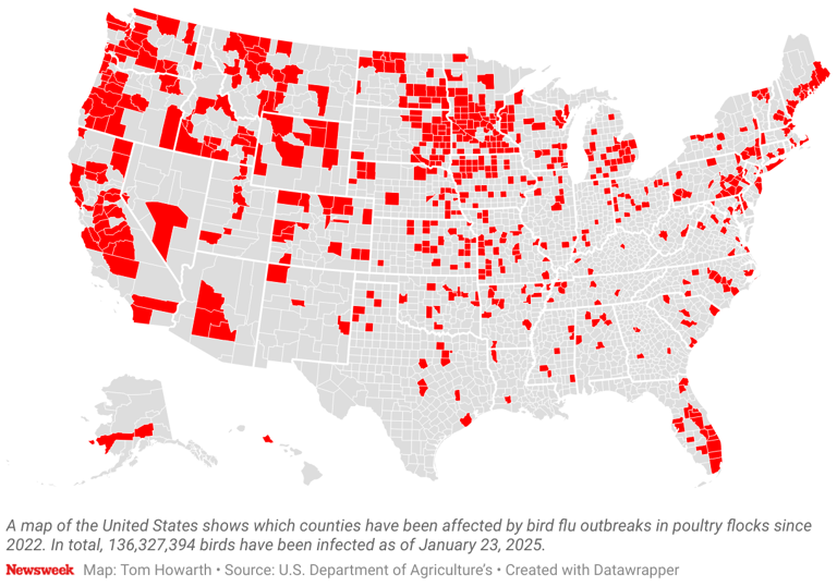 Bird Flu Outbreak Hits Suburban Chicago Chicken Farm, Wiping Out 3,000 Hens