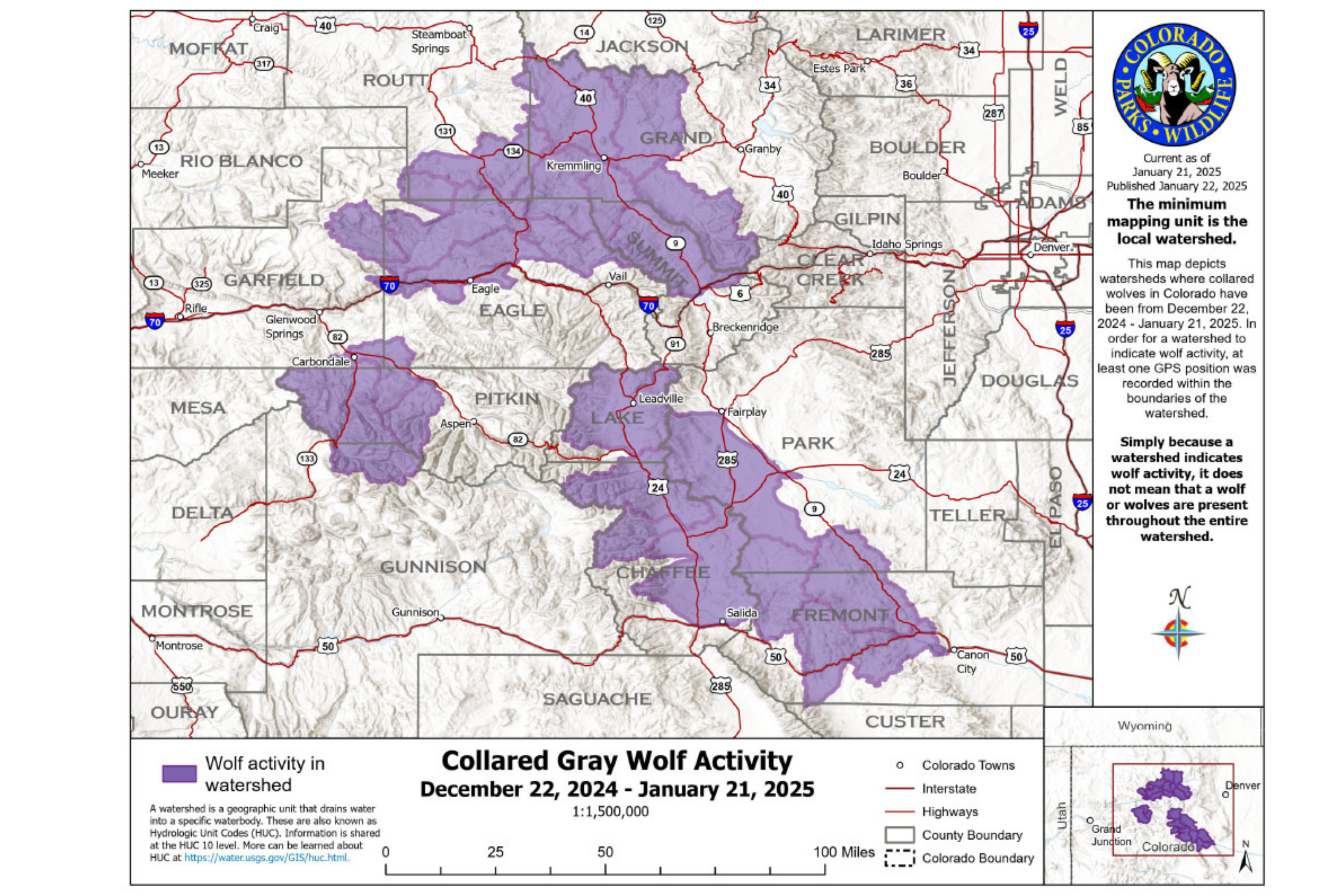 Colorado Wolf Map Shows Animals Traveling Further Than Ever Before