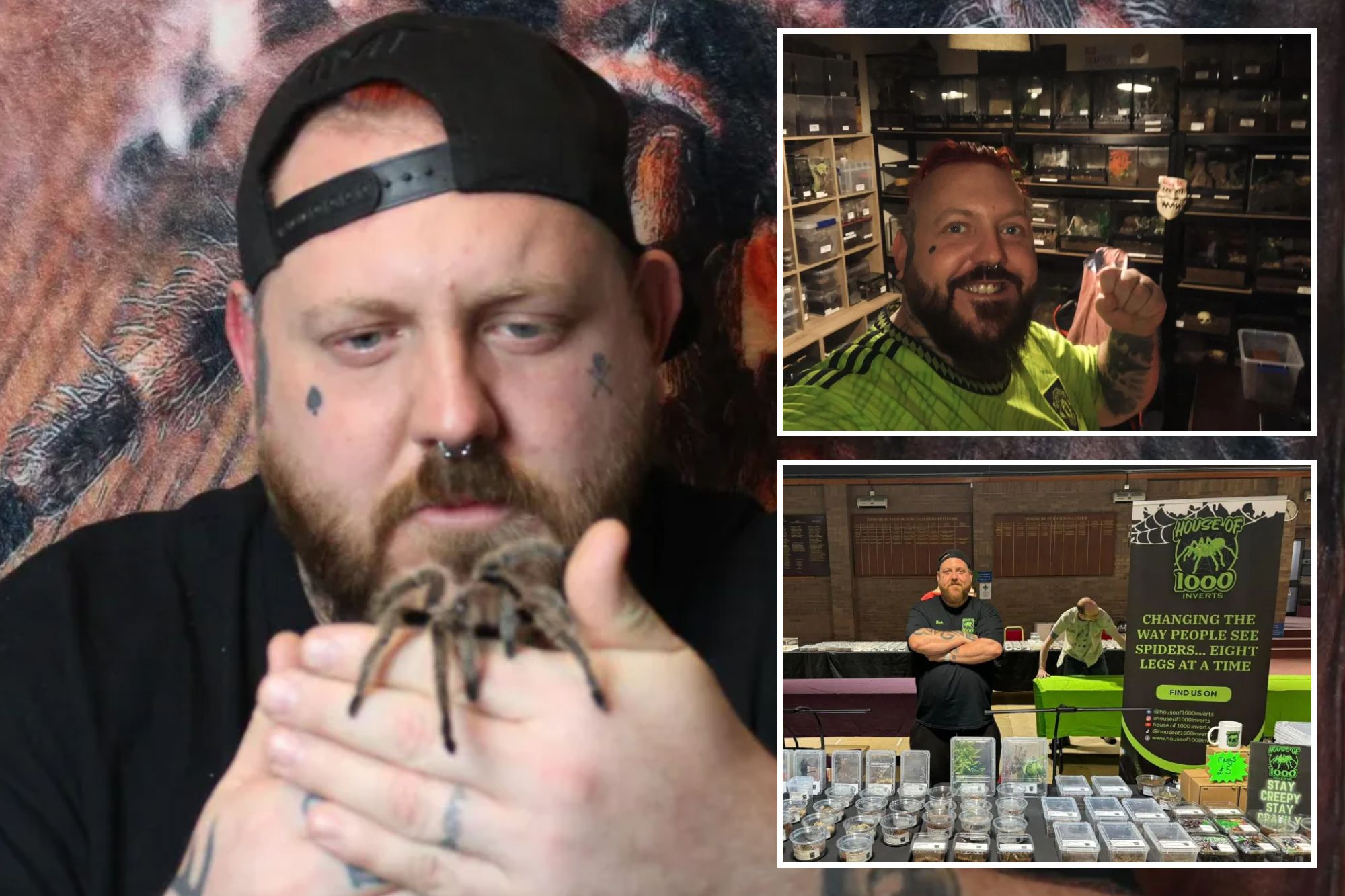 I have over 1,000 spiders in my ‘tarantula cave’ — I help people ...