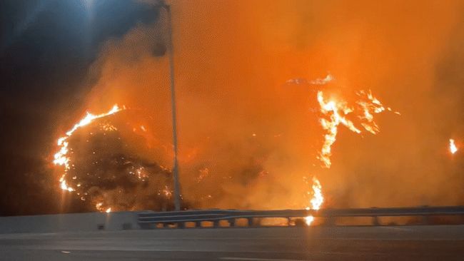 Sepulveda Fire Burns Near Los Angeles Freeway