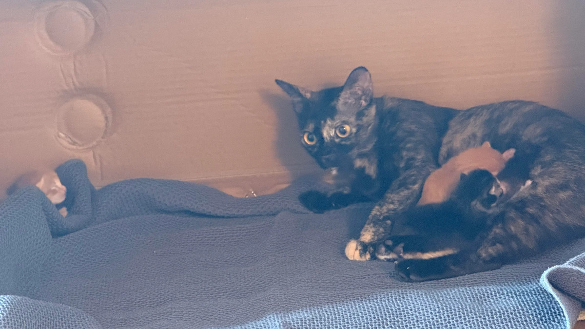 ‘She looks as surprised as you do’: Redditor shares the wild story of ...