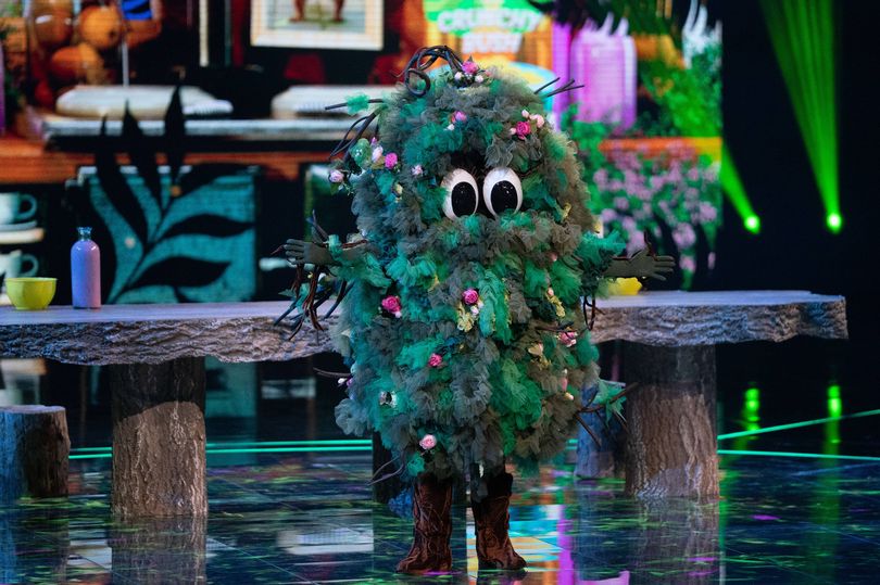 ITV The Masked Singer UK's Bush identity 'exposed' as famous comedian
