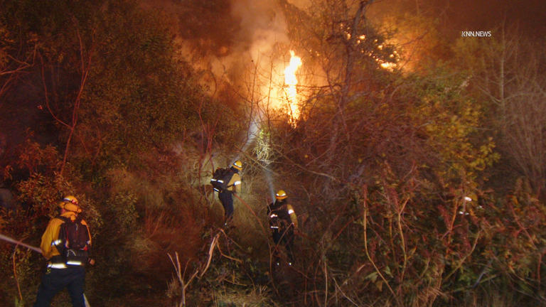 Wildfire breaks out in Sepulveda Basin along 405 freeway near UCLA