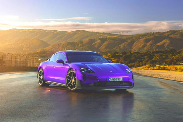 ‘Insane X-ray’ shows body filled with tapeworm larvae — ER doc reveals ...